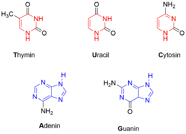 Benzol – igb